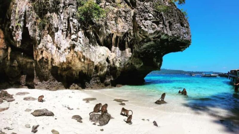 Krabi: Phi Phi Islands Full-Day Private Speedboat Charter - FAQ