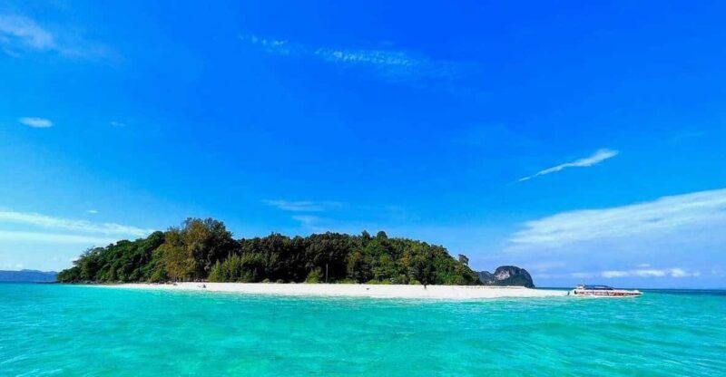 Krabi: Phi Phi Islands & Maya Bay Speedboat Tour with Lunch - Key Points