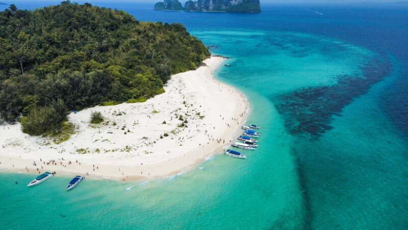 Krabi: Phi Phi Islands Speedboat Tour with Buffet Lunch - Key Points