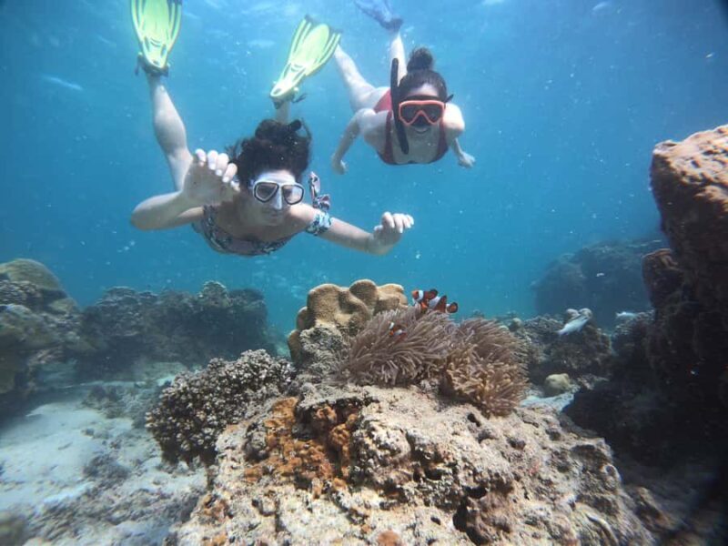 Krabi: Private Snorkeling Cruise with Bioluminescent Swim - The Sum Up