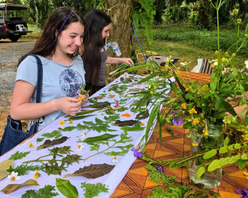Krabi Quad: Paddle, Eco Printing, Rubber Tapping & Pine Farm - A Closer Look at What This Tour Offers