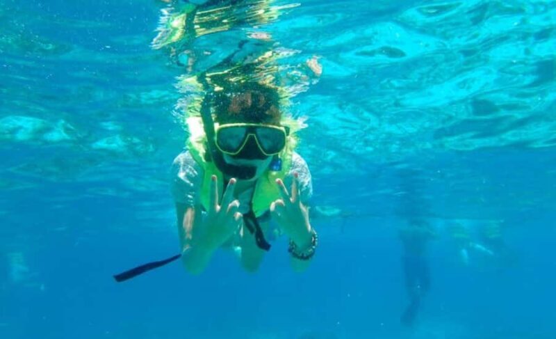 Krabi: Similan Islands Day Trip by Speedboat & Buffet Lunch - Key Points