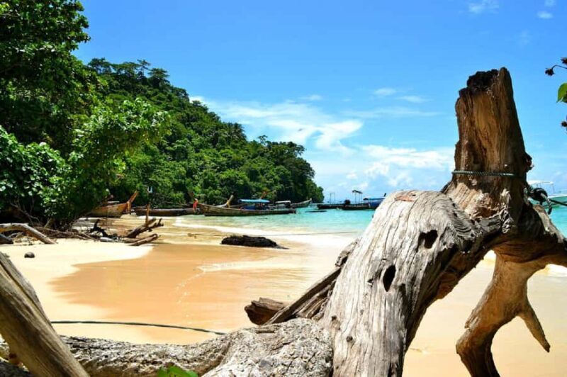 Krabi: Small Group Boat Tour to James Bond & Hong Islands - Key Points