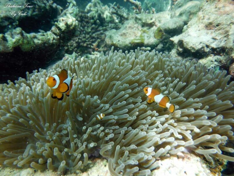 Krabi: Small Group Boat Tour to James Bond & Hong Islands - Practical Details and Considerations