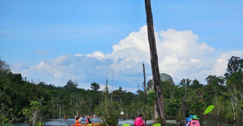 Krabi: South Kayak Klong Root Kayaking Tour - Introduction to the Tour