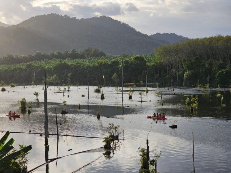 Krabi: South Kayak Klong Root Kayaking Tour - What Could Be Improved or Considered