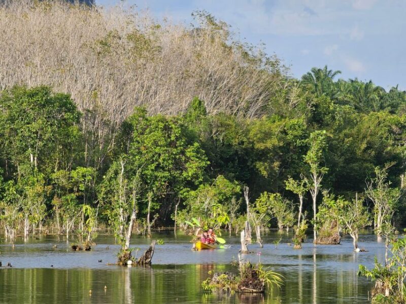 Krabi: South Kayak Klong Root Kayaking Tour - Authentic Traveler Opinions