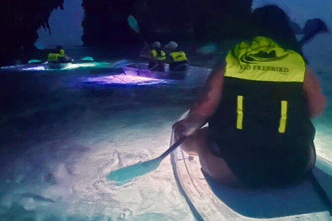 Krabi Stand-Up Paddleboard Illuminated Night Tour - What Makes the Krabi Stand-Up Paddleboard Night Tour Special?