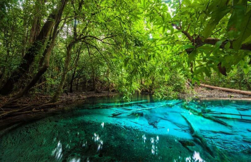 Krabi Tiger cave , emerald pool, hosspring waterfall jungle - Practical Tips for Travelers