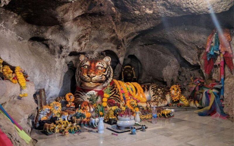 Krabi: Tiger Cave, Hot Springs and Emerald Pool Jungle Tour - Experience Provider