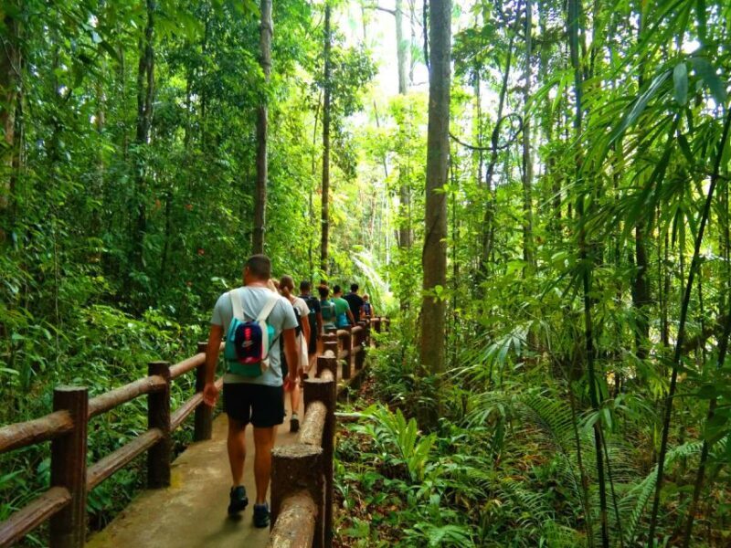 Krabi: Tiger Temple, Hot Springs & Crystal Pool Jungle Tour - Authentic Reviews & Insights