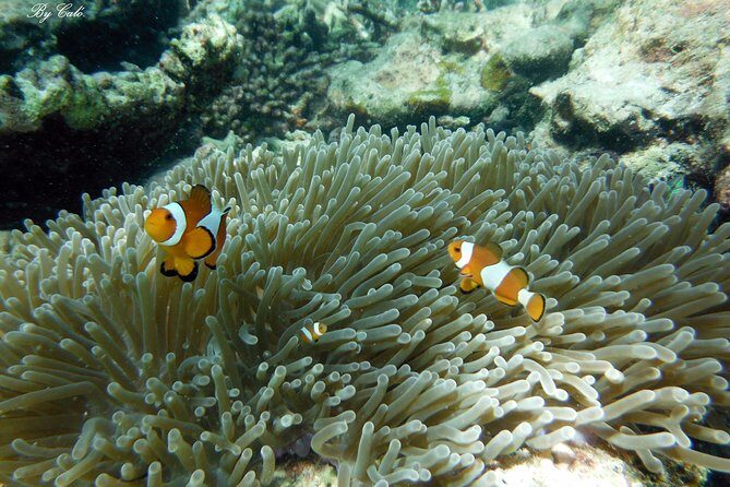 Krabi to James Bond and Hong Islands Offbeat Speedboat Tour - A Thorough Review: What to Expect on This Krabi Speedboat Adventure