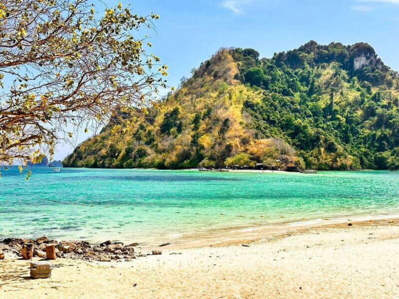 Krabi:Day Trip 4 Islands by Premium Longtail Boat with Lunch - Key Points