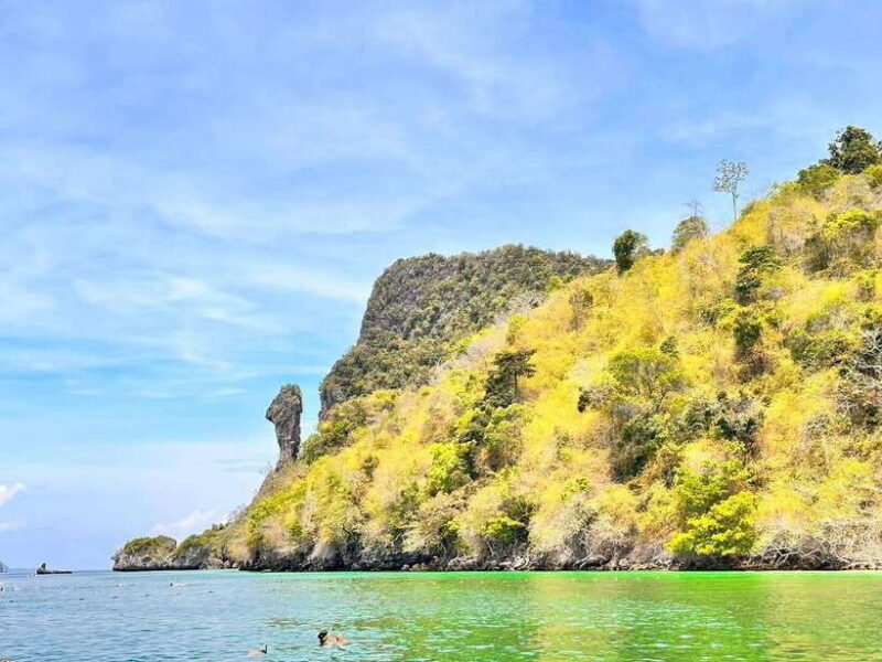 Krabi:Day Trip 4 Islands by Premium Longtail Boat with Lunch - Who Will Love This Tour