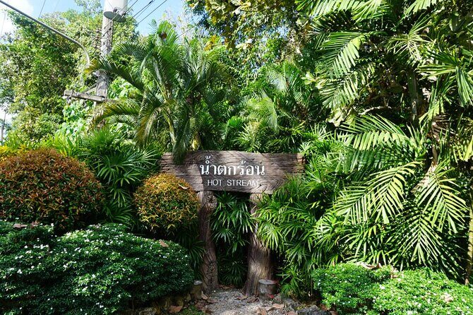 Krabi's Hidden Gems: Emerald Pool & Hot Spring Tour - A Closer Look at the Tour Experience