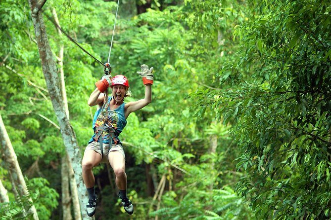 Krabi's Tropical Rainforest Canopy Zipline Adventure - What Makes the Zipline Special?