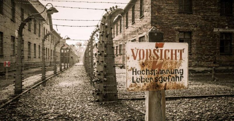 Krakow and Auschwitz Small-Group Tour from Warsaw with Lunch - Key Points