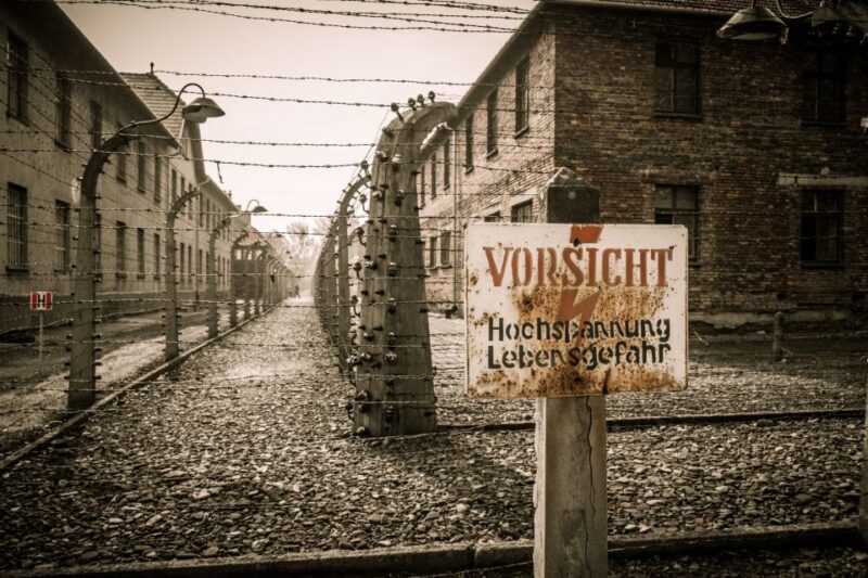 Krakow and Auschwitz Small-Group Tour from Warsaw with Lunch - Who Should Consider This Tour?