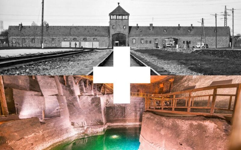 Krakow: Auschwitz-Birkenau and Salt Mine Guided Tour - The Value of This Experience