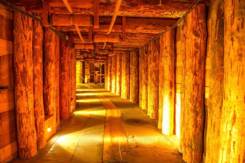Krakow: Auschwitz-Birkenau and Wieliczka Salt Mine Day Trip - Is This Tour Right for You?