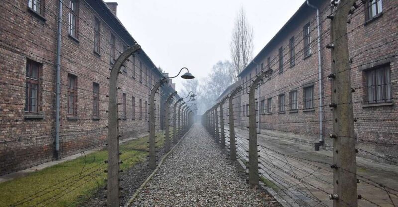Krakow: Auschwitz-Birkenau Day Trip with Tour Leader - Key Points