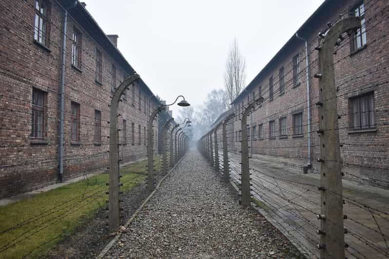 Krakow: Auschwitz-Birkenau Day Trip with Tour Leader - An In-Depth Look at the Auschwitz-Birkenau Day Trip