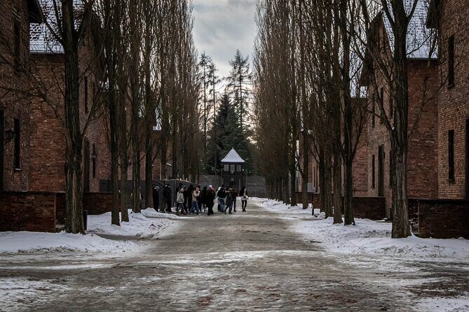 Krakow: Auschwitz Birkenau Guided Tour - Private Transportation - A Thorough Look at the Auschwitz-Birkenau Guided Tour