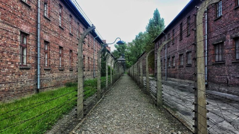 Krakow: Auschwitz-Birkenau Guided Tour with Hotel Transfer - Authentic Insights from Reviews