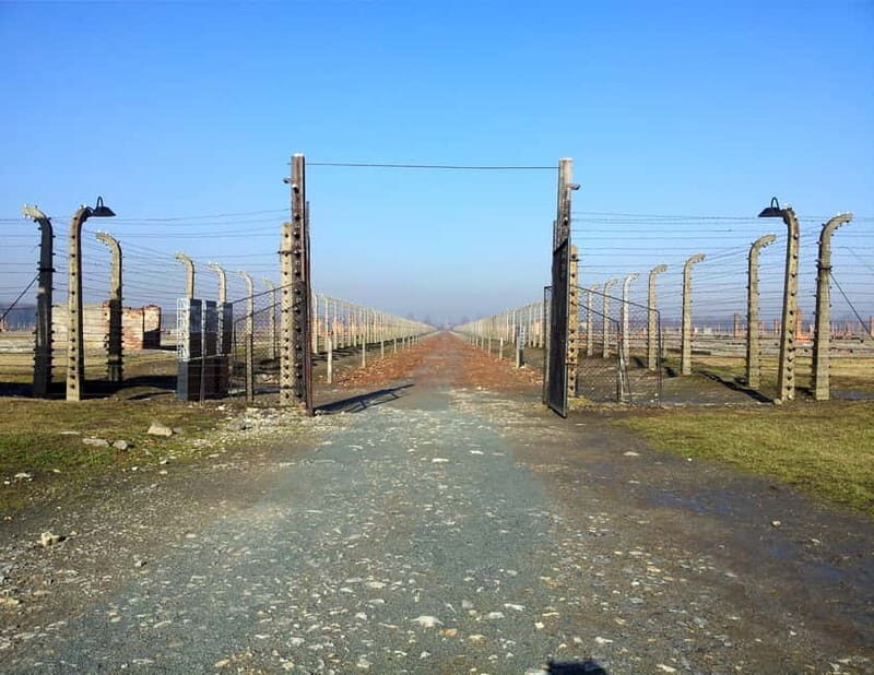 Krakow: Auschwitz-Birkenau Memorial Tour with Optional Lunch - Authentic Experiences from Travelers