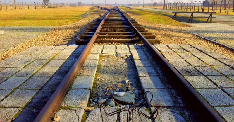 Krakow: Auschwitz-Birkenau Memorial Tour with Optional Lunch - Who Will This Tour Suit?
