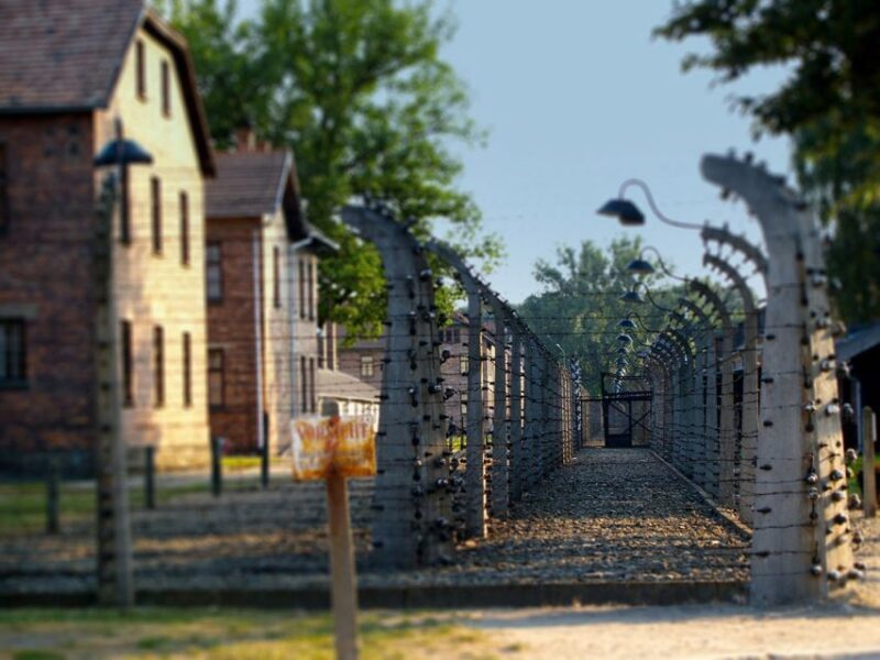 Krakow: Auschwitz Birkenau Museum Guided Tour with Pickup - Who Will Love This Tour?