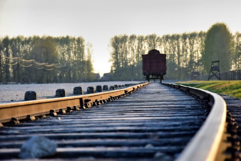 Kraków: Auschwitz-Birkenau & Salt Mine Full-Day Guided Tour - A Deep Dive into the Experience