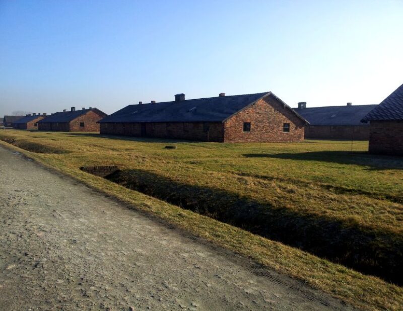 Krakow: Auschwitz-Birkenau & Wieliczka Salt Mine with Lunch - Who Should Consider This Tour?
