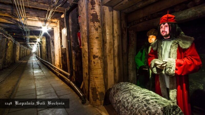 Kraków: Bochnia Royal Salt Mine Private Tour - An In-Depth Look at the Tour Experience