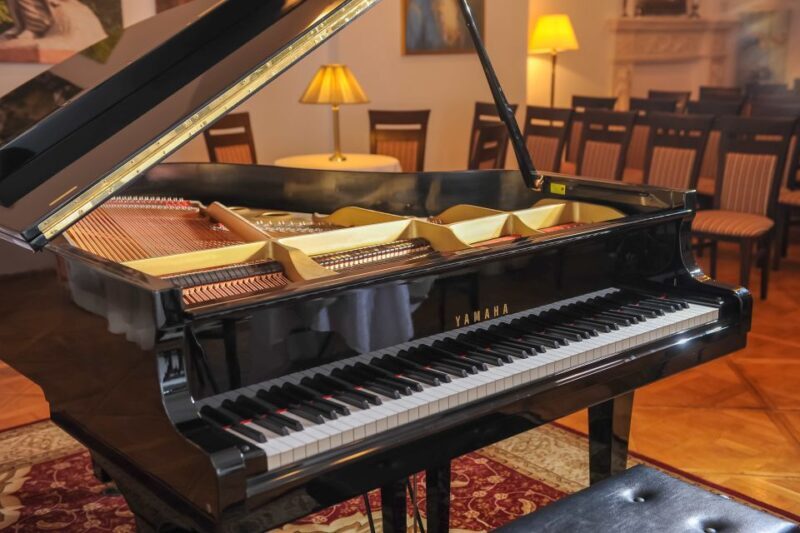 Krakow: Chopin Piano Recital at Chopin Concert Hall - Who Will Love This Experience?