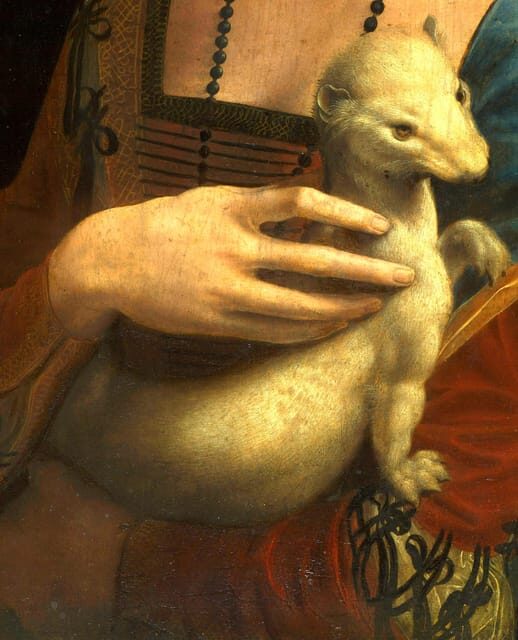 Krakow: Czartoryski Museum Guided Tour in English - Why Choose the Czartoryski Museum Guided Tour?