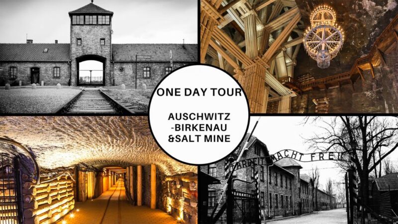 Krakow: Full-Day Auschwitz-Birkenau & Salt Mine Guided Tour - An In-Depth Look at the Tour Experience