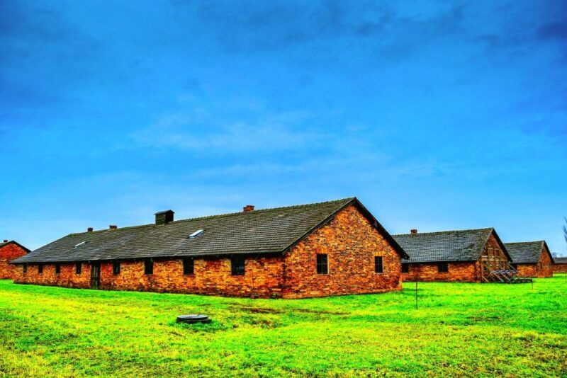 Krakow: Guided Auschwitz Birkenau Tour - Who Should Consider This Tour?