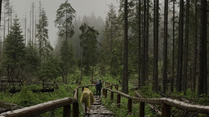 Krakow: Hiking Adventure in Tatra Mountains & Thermal Baths - An Overview of the Tour Experience