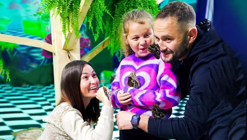 Krakow: Living Butterflies Museum ''House Of Attractions'' - The Practical Side: How This Tour Fits Into Your Kraków Visit
