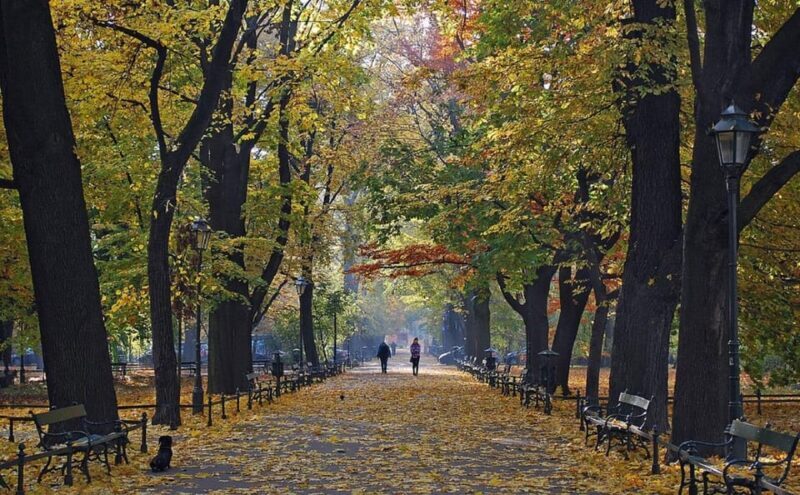 Krakow: Old Town "Royal Route" Walking Tour - Value and Cost Considerations