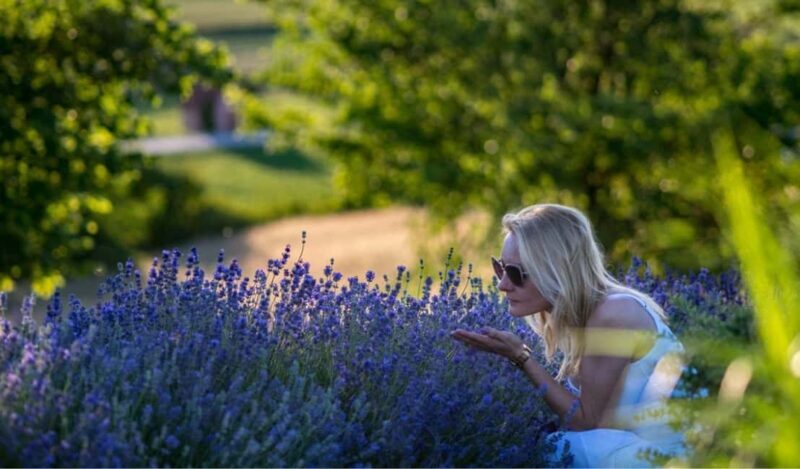 Kraków: Private Lavender Fields & Vineyard Tasting Tour - Who This Tour Is Best For