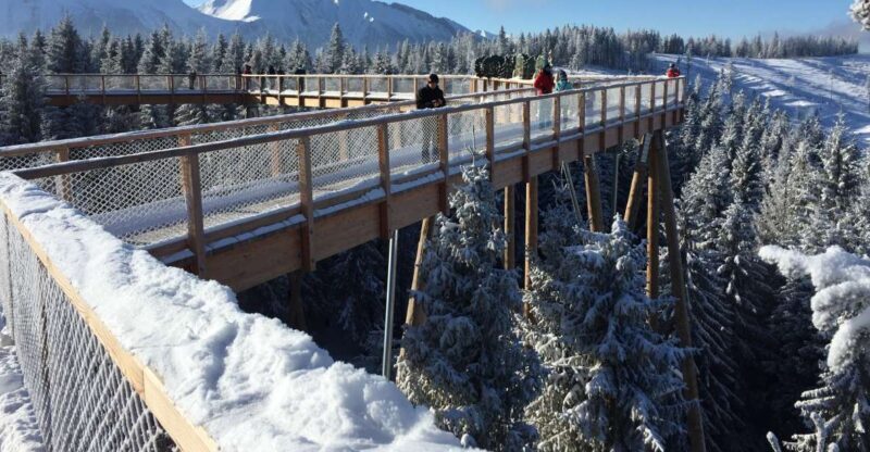 Krakow: Slovakia Treetop Walk & Zakopane Tour (Hotel Pickup) - The Value Proposition