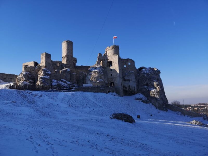 Krakow: "The Witcher" Ogrodzieniec Castle Private Tour - Who Should Consider This Tour?