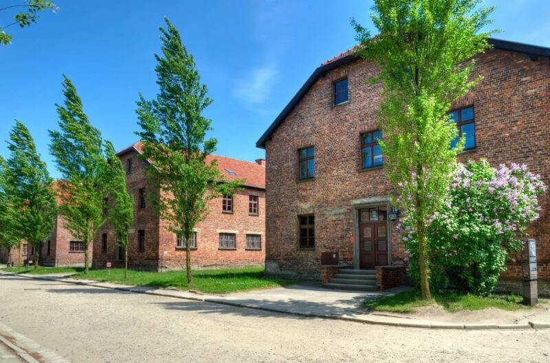 Krakow: Wieliczka Salt Mine and Auschwitz-Birkenau Tour - Final Thoughts