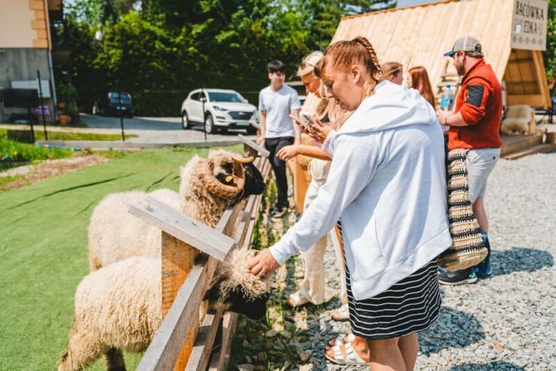 Krakow: Zakopane Day Trip with Funicular Ride - The Sum Up: Who Will Love This Trip?