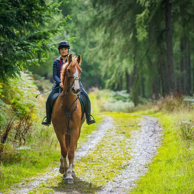 Krakow: Zakopane Horseback Ride & Cheese Tasting & Cable Car - Key Points