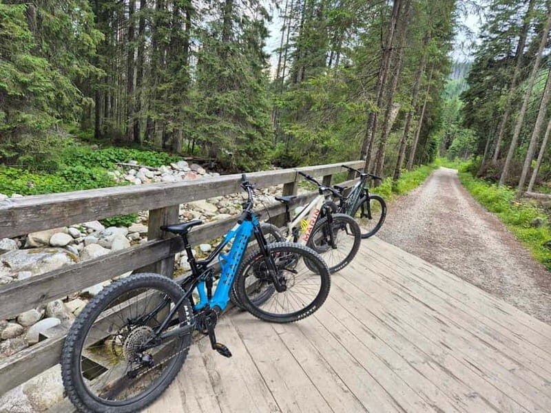 Krakow: Zakopane & Tatra Mountains E-Bike Tour & Spa - An In-Depth Look at the Tour Experience