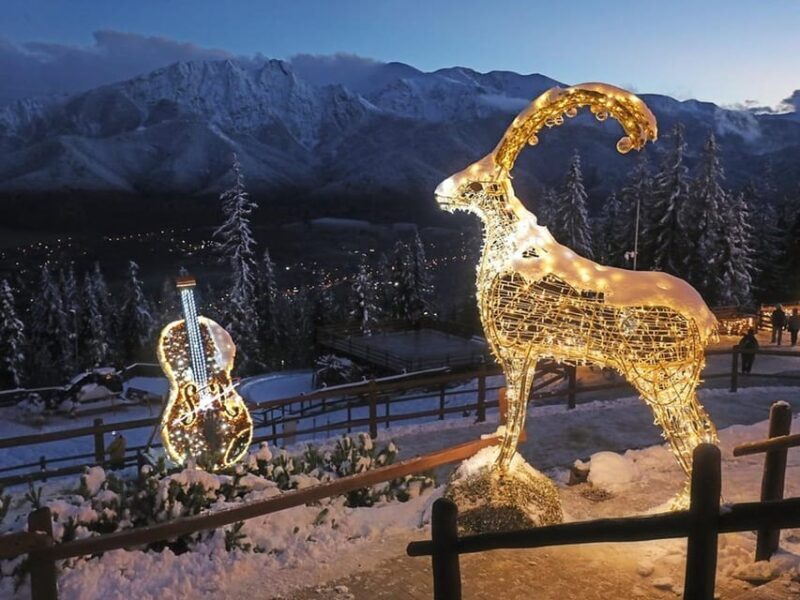 Krakow: Zakopane-Thermal Bath(Evening Time)with Hotel Pickup - Who Should Consider This Experience?