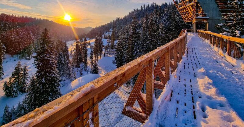 Krakow: Zakopane, Thermal Baths and Gorce Park Treetop Walk - The Itinerary: Step-by-Step Breakdown
